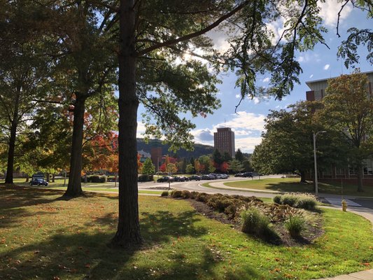 BINGHAMTON UNIVERSITY, STATE UNIVERSITY OF NEW YORK - Updated September ...