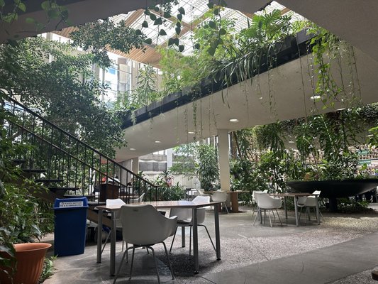 DOWNTOWN RENO LIBRARY - Updated October 2025 - 86 Photos & 39 Reviews ...