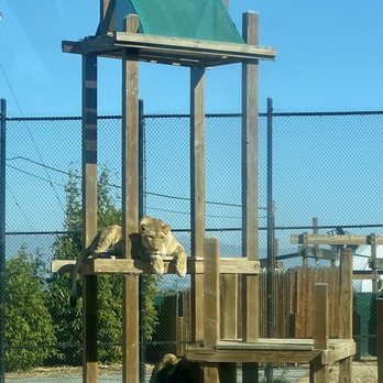 VISION QUEST RANCH - Updated April 2025 - 822 Photos & 315 Reviews ...