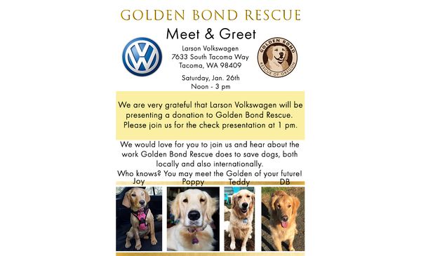 LARSON AUTOMOTIVE GROUP - Updated October 2025 - 64 Photos - 59 Reviews ...