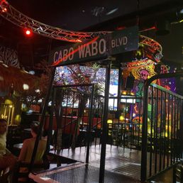 CABO WABO - Updated July 2025 - 913 Photos & 495 Reviews - Col. Centro ...