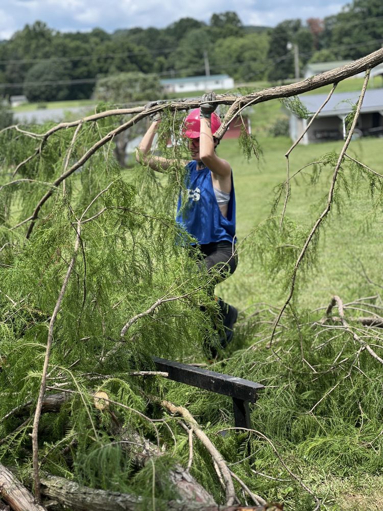 NEW LIFE TREE CARE - Updated July 2025 - Mitchell, Indiana - Tree ...