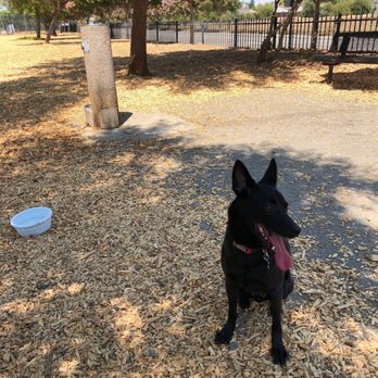 DEL MAR DOG PARK - Updated August 2025 - 22 Photos & 10 Reviews - Del ...