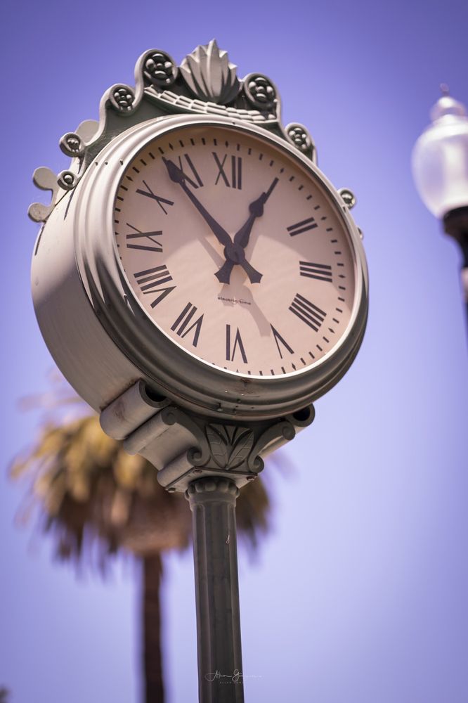 NILES CANYON - Updated May 2025 - 36 Photos & 10 Reviews - Fremont ...