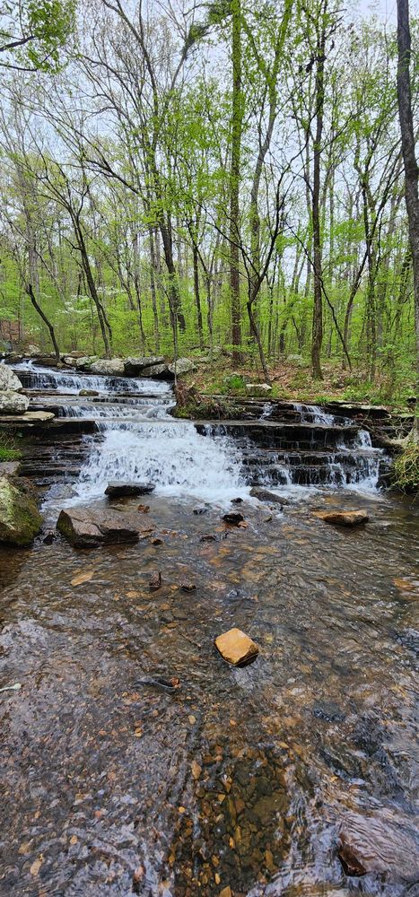 HEBER SPRINGS - Updated April 2025 - 241 Hatchery Rd, Heber Springs ...