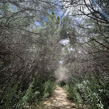 OXBOW NATURE STUDY AREA - Updated December 2025 - 139 Photos & 28 ...