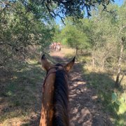 WESTCREEK TRAIL RIDES - 74 Photos & 64 Reviews - Horseback Riding ...