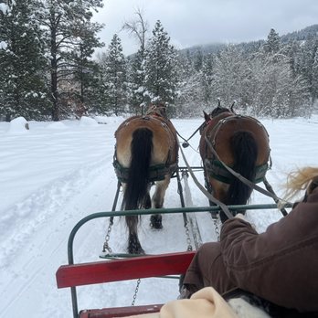 ICICLE OUTFITTERS & GUIDES/LEAVENWORTH SLEIGH RIDES - Updated December ...