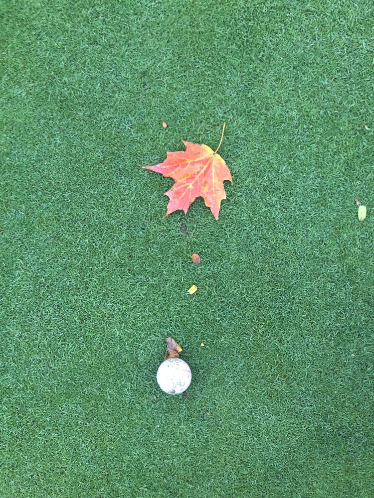 CHICK EVANS GOLF COURSE - Updated September 2024 - 10 Photos & 40 ...