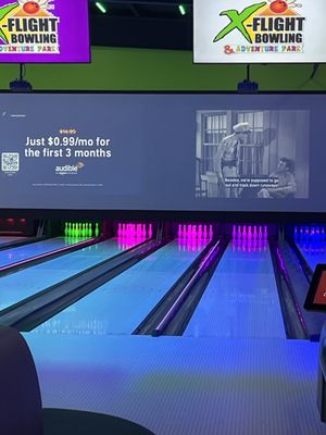 PARTY SAFARI - Updated October 2025 - 34 Photos & 48 Reviews - 5324 ...