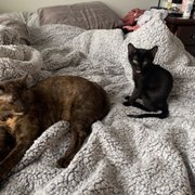 LOW COUNTRY ANIMAL RESCUE - 10 Photos & 26 Reviews - Ladson, South ...