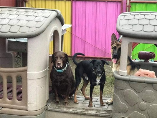 PUCCI CHATEAU - Updated September 2025 - 409 S Memorial Fwy, Nederland ...