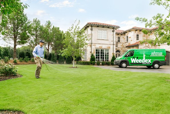 Weedex Lawn Care Reviews