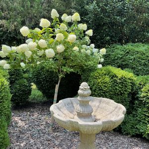 UNION WEST REGIONAL LIBRARY - Updated July 2025 - 123 Unionville Indian ...