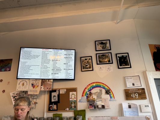 KITTY KISSES CAT CAFE - Updated December 2025 - 156 Photos & 76 Reviews ...