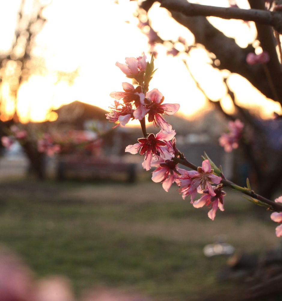 JACKSON FAMILY FARM STAY - Updated December 2025 - 29 Photos - 40200 ...