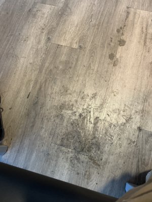 ELITE ADVANCED IMAGING - Updated September 2025 - 21 Photos & 83 ...