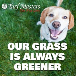 Turf Masters Lawn Care Reviews | Read Customer Service Reviews of ...