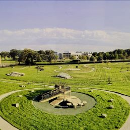 PAWS & PINTS - Updated July 2025 - 166 Photos & 77 Reviews - 6218 ...