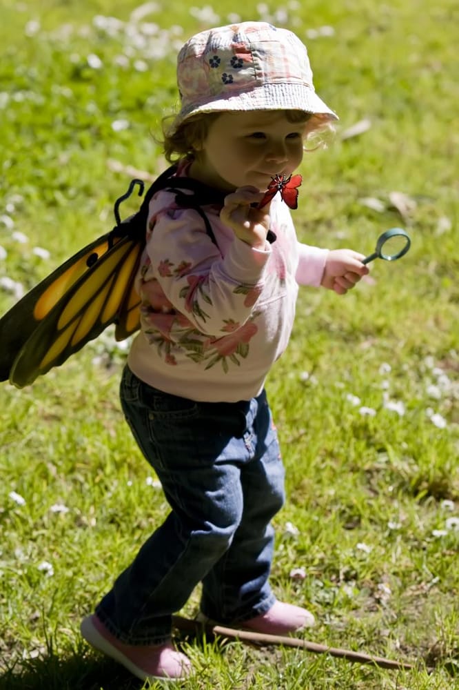 WONDERBUG ADVENTURES - Updated January 2025 - San Francisco, California ...