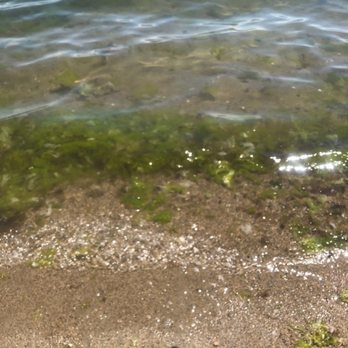 OAKLAND BEACH - Updated December 2025 - 140 Photos & 65 Reviews ...