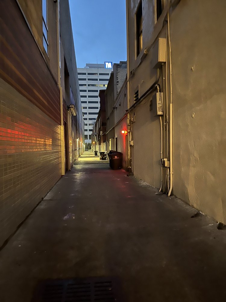 PETER KERN LIBRARY - 158 Photos & 182 Reviews - Speakeasies - 407 Union ...