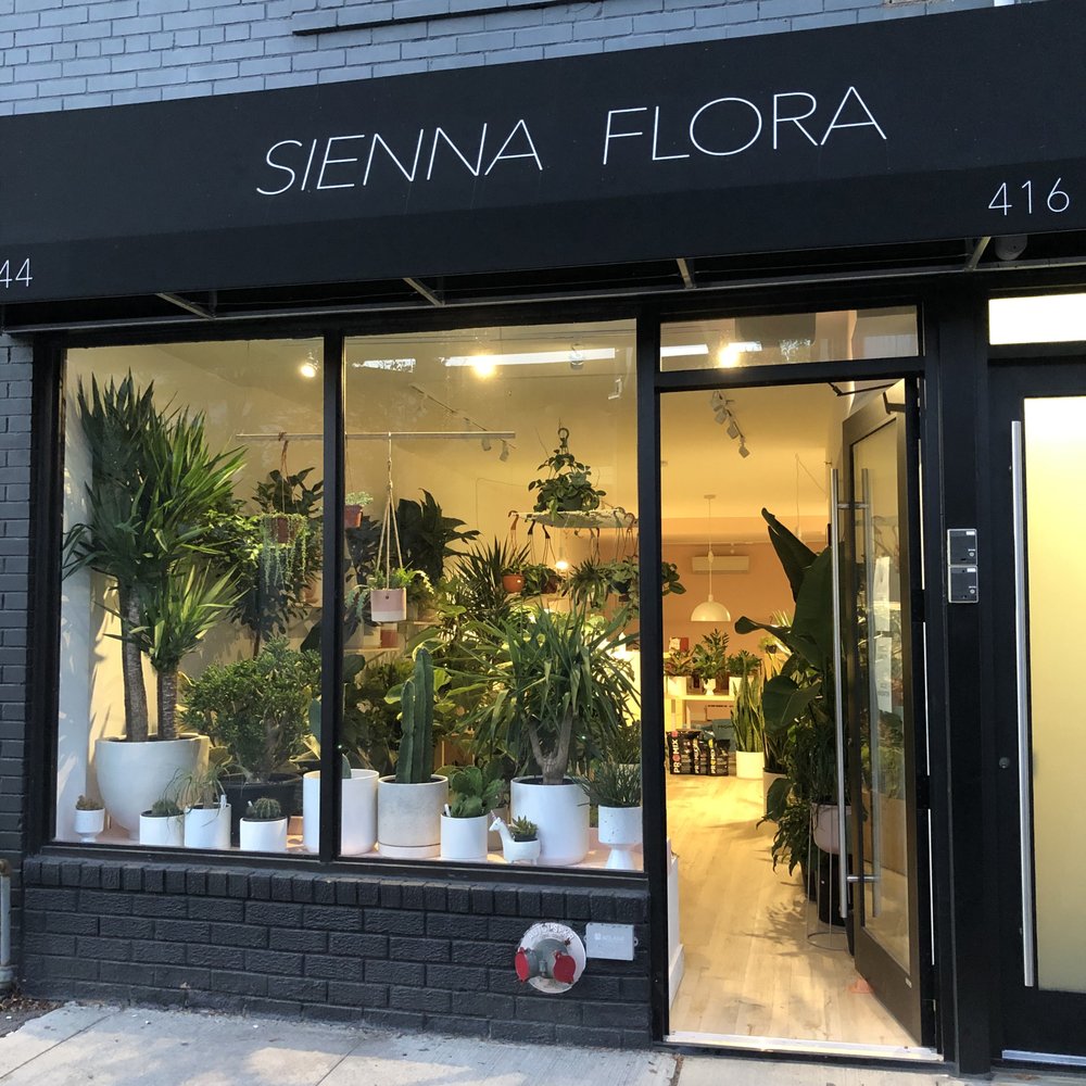 SIENNA FLORA PLANT SHOP - Updated October 2024 - 1344 Dundas Street ...