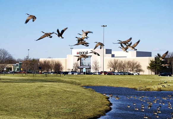 DOVER MALL - Updated January 2026 - 40 Photos & 36 Reviews - 1365 N ...