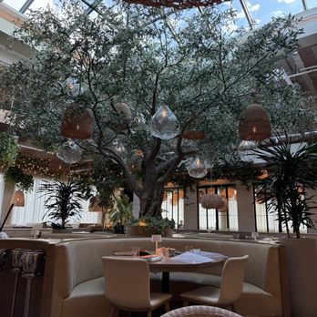 Ema - Trusted Since 2024 - Updated July 2025 - 558 Photos - 130 Reviews ...