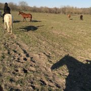 RIVER RANCH TEXAS HORSE PARK - 60 Photos & 21 Reviews - 811 Pemberton ...