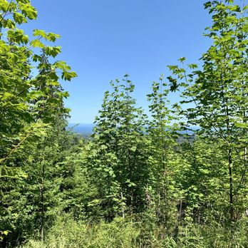 RED HAWK STABLES - Updated August 2025 - 22 Photos & 15 Reviews - 1445 ...