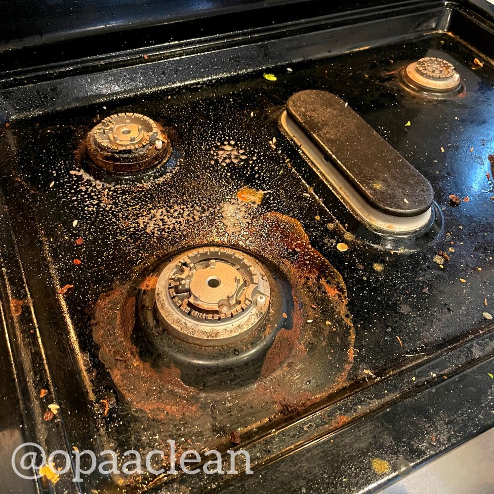 OPAA CLEANING - Updated November 2025 - 28 Photos - Park Ridge ...