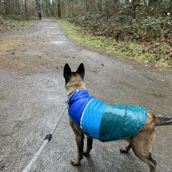 LAKE YOUNGS TRAIL - Updated April 2025 - 16145 SE Old Petrovitsky Rd ...