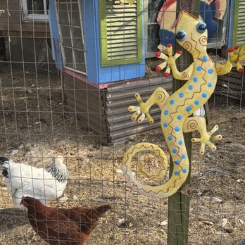 LEAPING LIZARD CAFE - Updated April 2025 - 1478 Photos & 651 Reviews ...