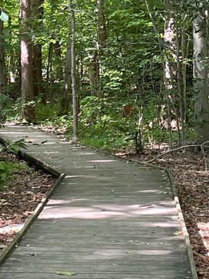 HOGBACK RIDGE PARK - Updated October 2025 - 4700 Emerson Rd, Madison ...