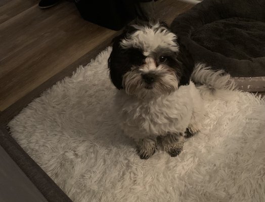 BARKING SPA - Updated December 2025 - 23 Photos & 73 Reviews - 126 Old ...