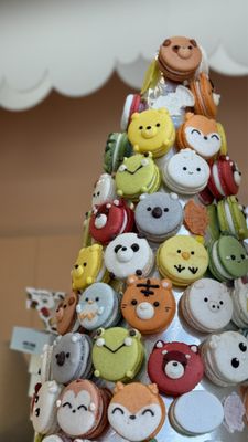 DAAN GO CAKE LAB - Updated January 2026 - 386 Photos & 65 Reviews ...