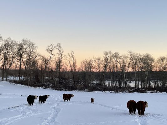 LITTLE DIPPER FARM - Updated August 2025 - 54 Photos - 499 Wolf Den Rd ...