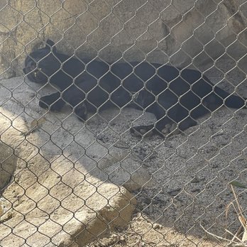 OC ZOO IRVINE REGIONAL PARK - Updated May 2025 - 100 Photos & 34 ...