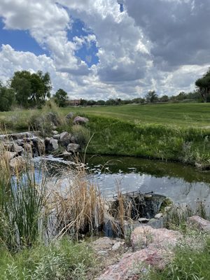 DEL LAGO GOLF CLUB - Updated December 2025 - 72 Photos & 34 Reviews ...