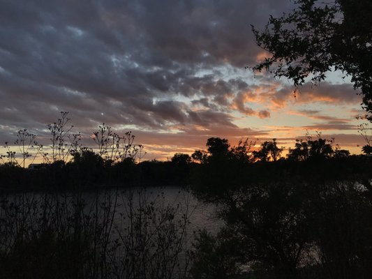 MILLER REGIONAL PARK - Updated April 2025 - 143 Photos & 15 Reviews ...