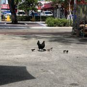 LOS PINARENOS FRUTERIA - 224 Photos & 92 Reviews - 1334 SW 8th St ...