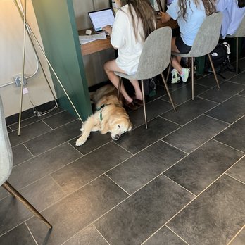 KOHIKO COFFEE HOUSE - Updated October 2025 - 431 Photos & 176 Reviews ...