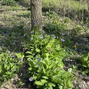 SPRING VALLEY NATURE CENTER & HERITAGE FARM - 634 Photos & 52 Reviews ...