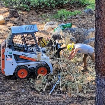 NINJA TREE CARE - Updated December 2025 - 16 Photos & 17 Reviews - 774 ...