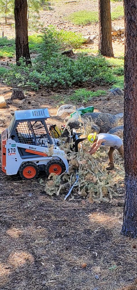 NINJA TREE CARE - Updated December 2025 - 16 Photos & 17 Reviews - 774 ...