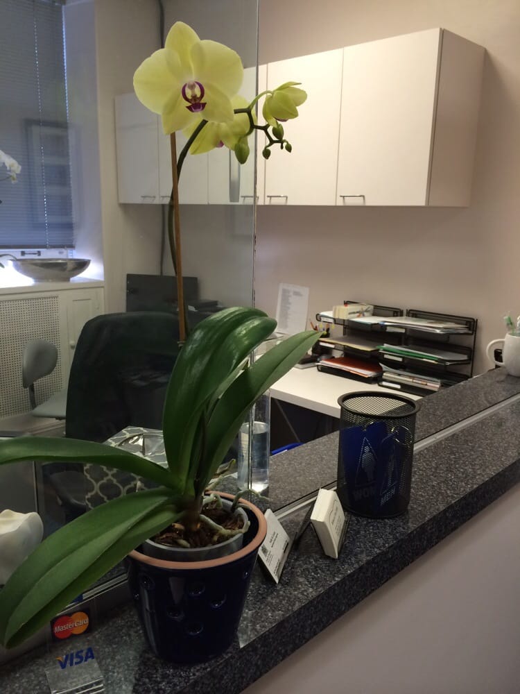 REBECCA YAN’S, DDS - Updated May 2026 - 30 Reviews - 450 Sutter St, San ...