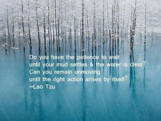 THE INVOLUTION REVOLUTION - Updated May 2024 - Scottsdale, Arizona ...