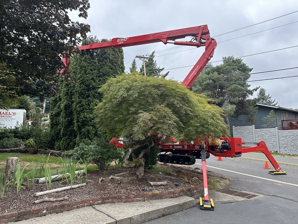HIGH TOP TREE TRIMMING - Updated April 2025 - 10145 NW Lee St, Portland ...