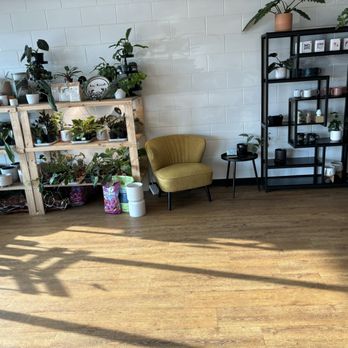 COLLIGO COFFEE - Updated July 2025 - 33 Photos & 13 Reviews - 724 ...